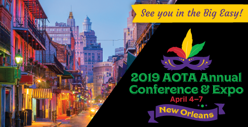 2019 AOTA Annual Conference & Expo | Drive Safety